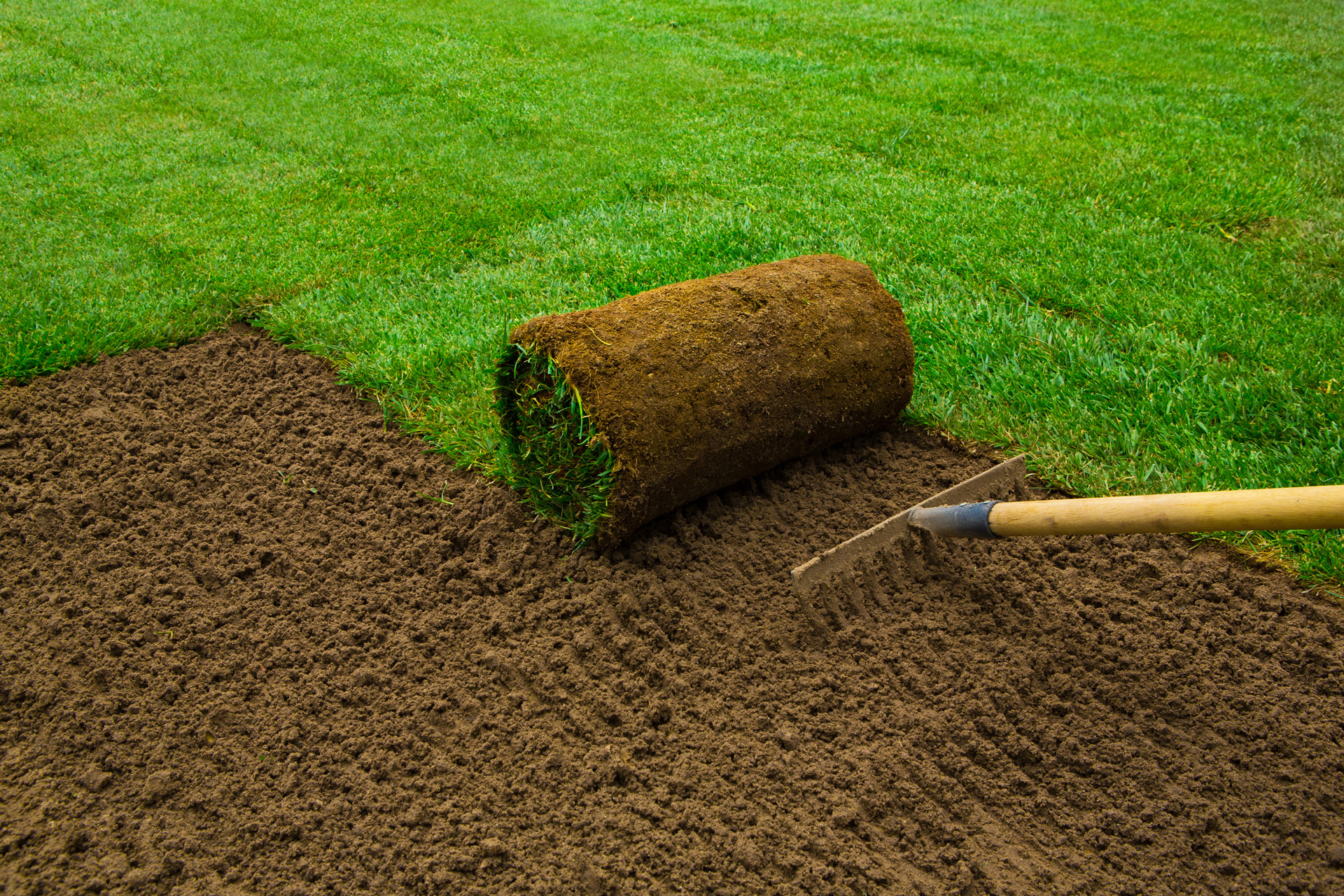 Edmonton Sod Installation and Replacement | JPL Earthworks